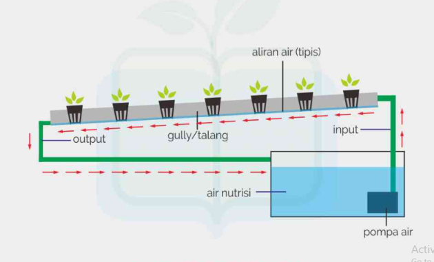 Mengenal Hidroponik dengan Sistem NFT