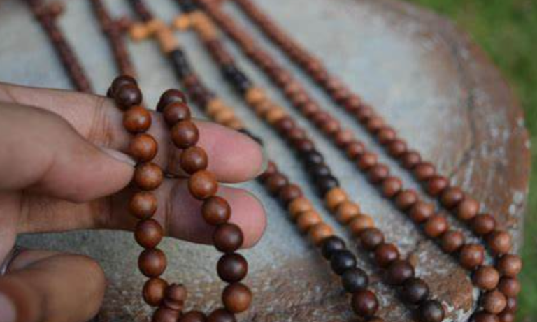 Manfaat dan Mitos Kayu Stigi - Hasiltani.id