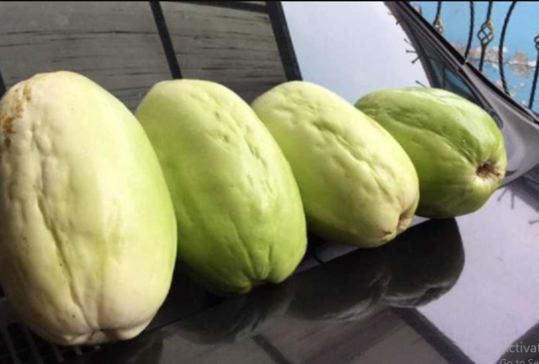 Kandungan dan Manfaat Buah Erbis atau Markisa Jumbo - Hasiltani.id