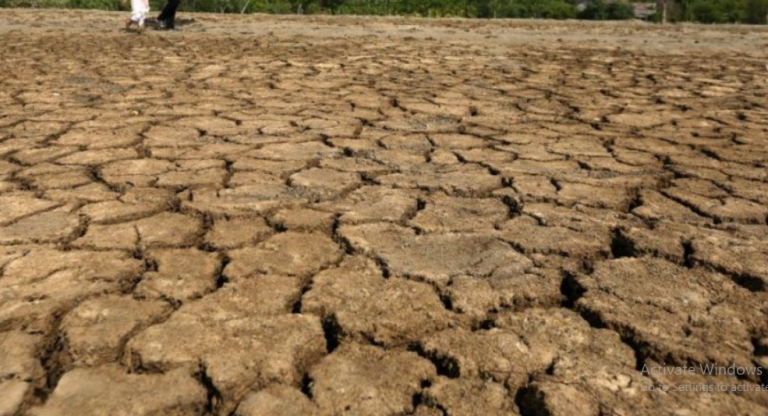 Manfaat Tanah Grumosol - Potensi dan Pengelolaan untuk Pertanian