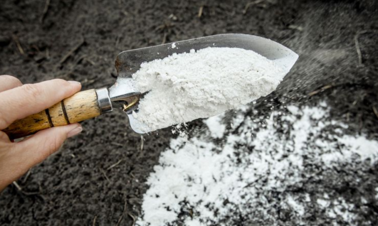 Manfaat Kapur dan Jenis-Jenis Kapur untuk Pertanian - Hasiltani.id