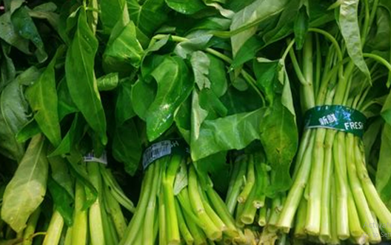 Mengenal Manfaat Kangkung untuk Kesehatan dan Cara Mengolahnya