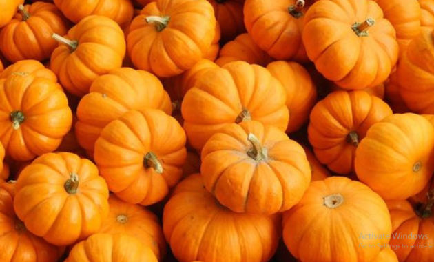 Manfaat Labu Kuning untuk Kesehatan - Nutrisi, Kegunaan, dan Tips