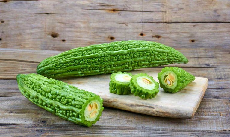 Cara Menanam Pare - Panduan Lengkap untuk Tanaman Sehat - Hasiltani.id