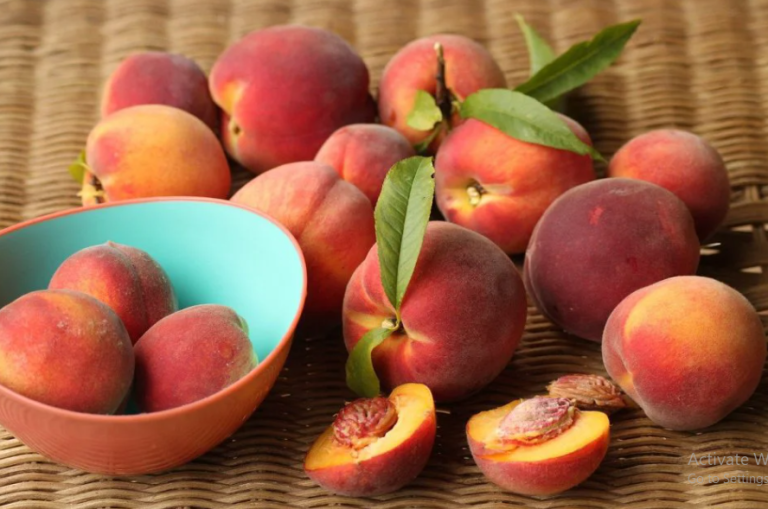 Panduan Lengkap - Cara Menanam Buah Persik Agar Cepat Berbuah